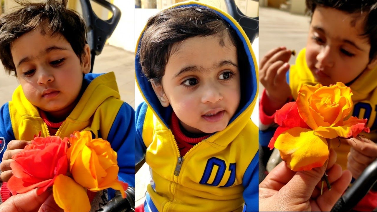 Cute baby boy playing with roses💐 #joybabalovelyvlogs #cutebaby # ...
