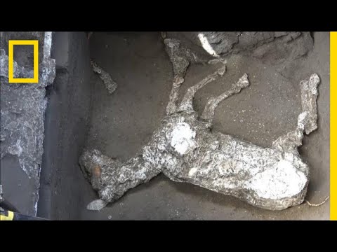 نشنال جئوگرافیک فارسی | زیر سایه آتشفشان