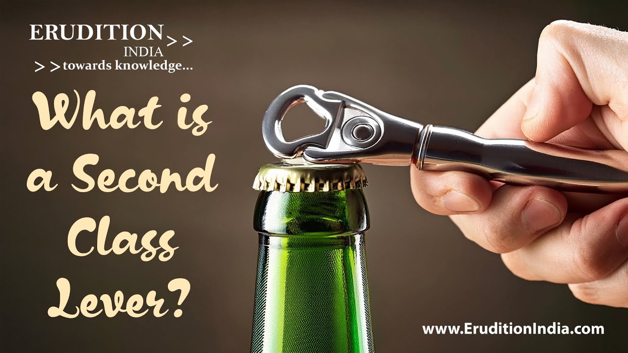 What is a Second Class Lever? Practical Demo & Example With Explanation ...