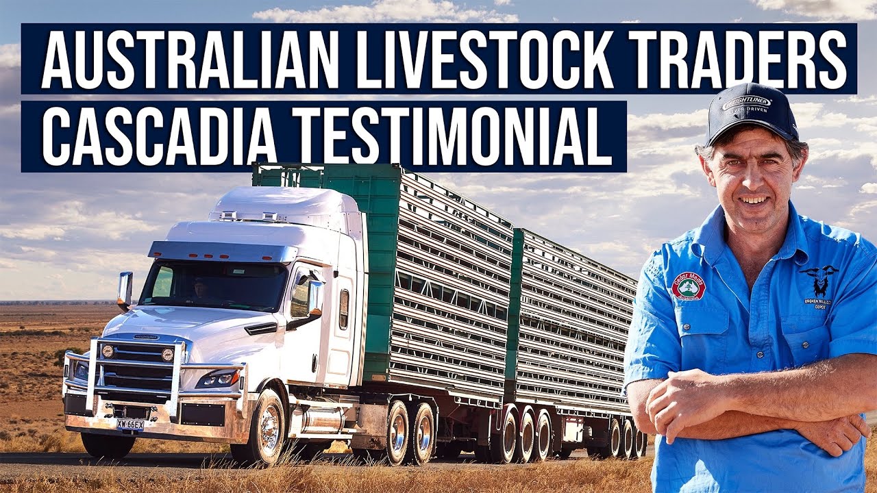 Freightliner Cascadia - Australian Livestock Traders Customer Video ...
