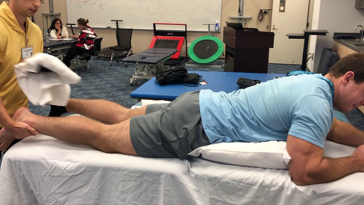 anterior glide of talus MSK1 - YouTube