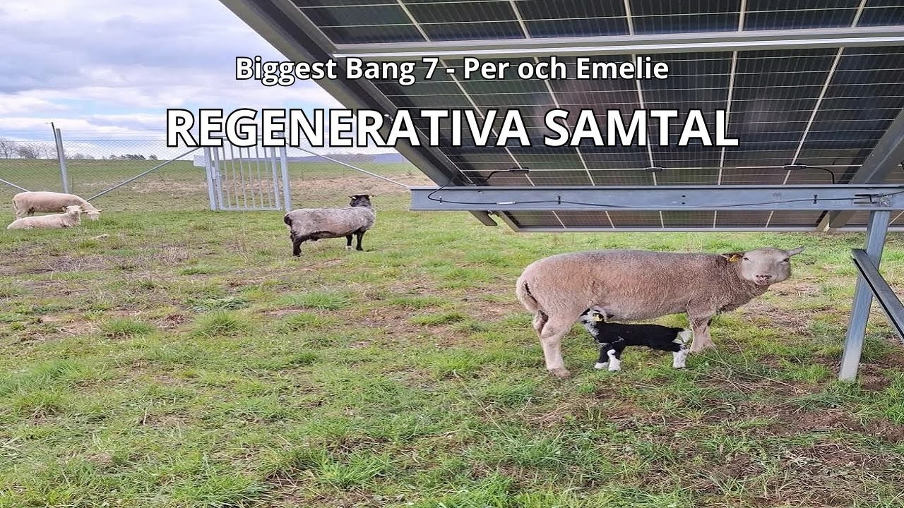 Biggest Bang 7 - Per och Emelie Hult - YouTube