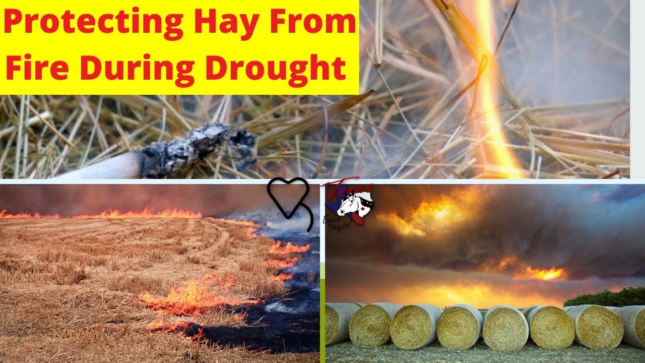 Protecting Hay From Fire During Drought | Regenerative Ranching - YouTube