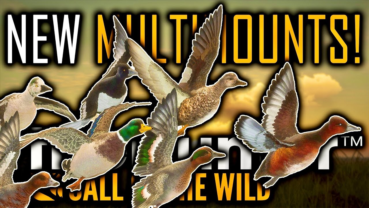 LOOKING AT ALL *5* NEW MULTIMOUNTS COMING TO CALL OF THE WILD! ALL ...