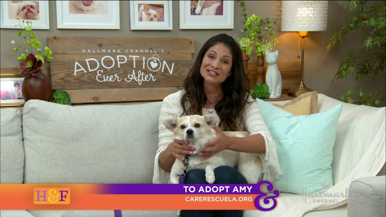 Larissa Wohl's Pet Adoption: Amy - YouTube