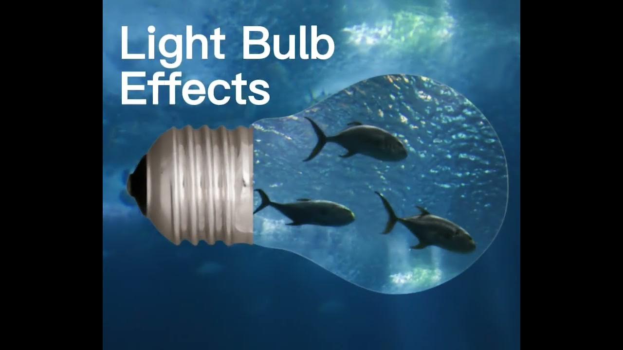 Light Bulb Effects - YouTube