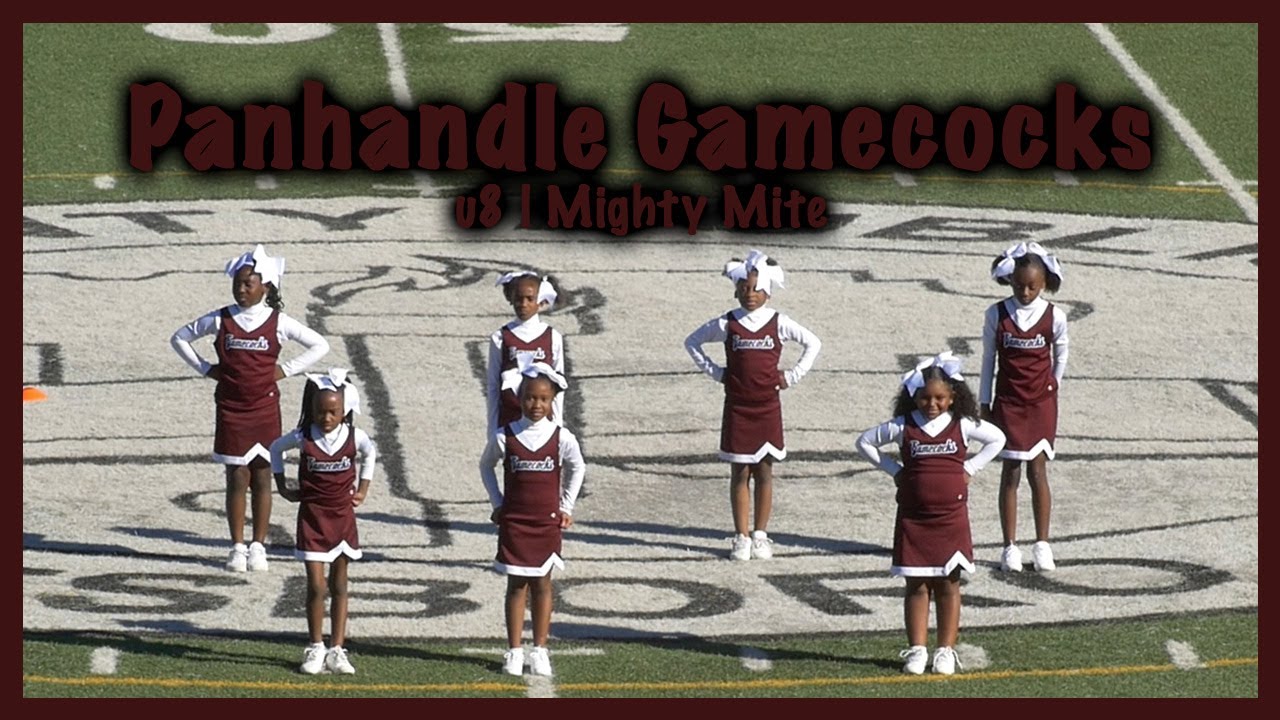 2021 u8 Panhandle Gamecocks Mighty Mite Cheerleaders | SPYFL - YouTube