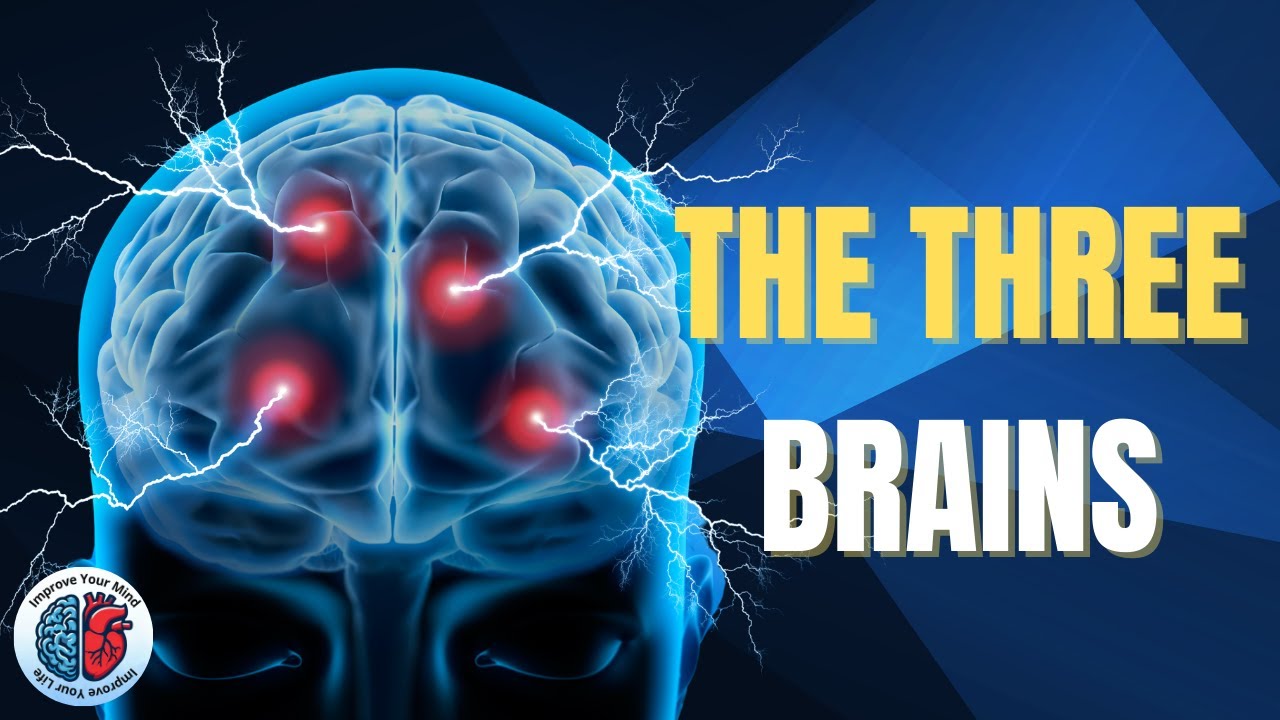 Unlocking Your Potential: The Secret Powers of Your Three Brains! - YouTube