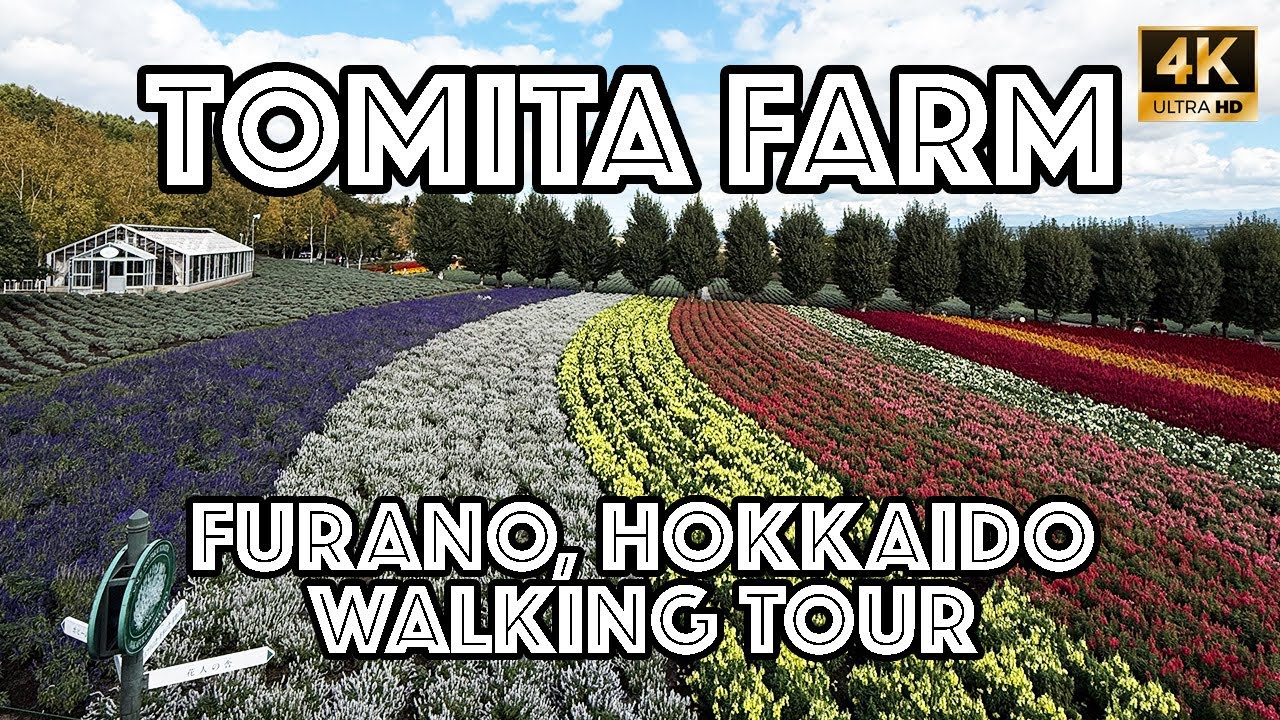 🌸🌺🌼🌷 Tomita Farm (ファーム富田) Beautiful Flower Gardens in Furano Hokkaido ...