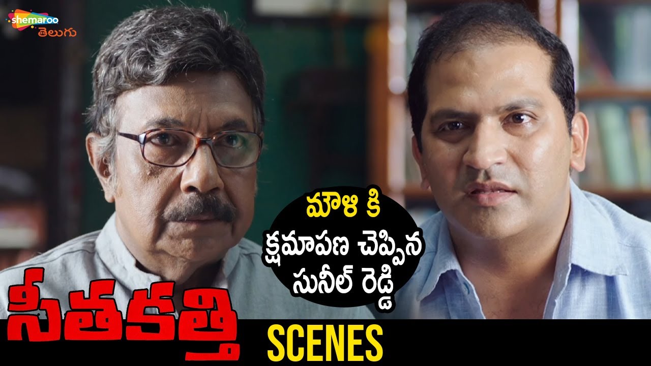 Sunil Reddy Apologies Mouli | SeethaKathi Telugu Full Movie | Bagavathi ...