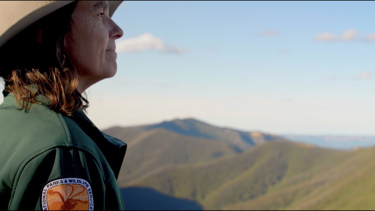 NPWS Blue Mountains Plan of Management - YouTube