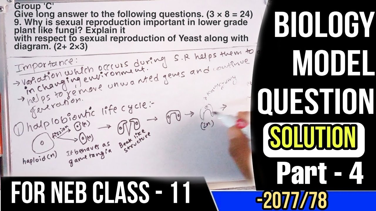 Solution of Biology Model Question Class - 11 | Part - 4 | NEB 2077/78 ...