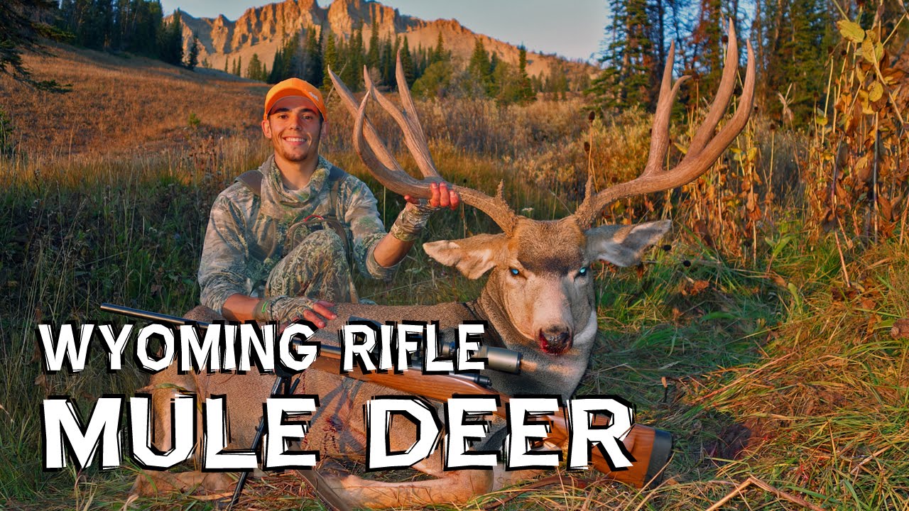 2014 Wyoming Rifle Mule Deer - Short version - YouTube