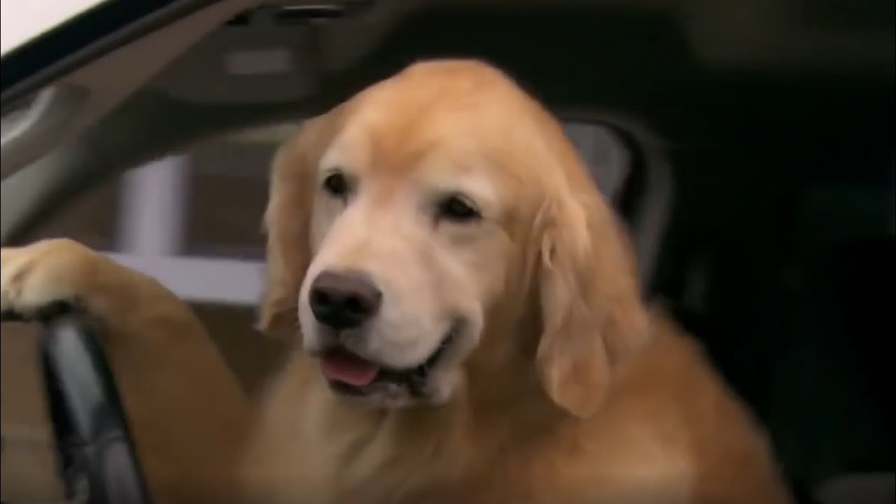 UNEXPECTED meme compilation part 47 - YouTube