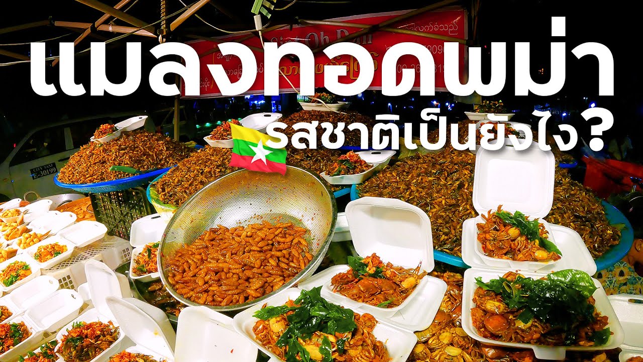 แมลงทอดที่พม่า เมืองย่างกุ้ง Fried insects in Myanmar 🇲🇲 - YouTube