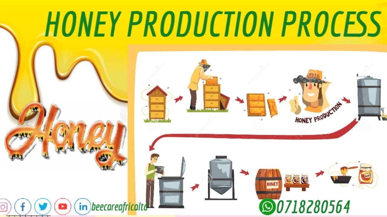 HONEY PROCESSING WITH PRESS MACHINE 4K Video - YouTube