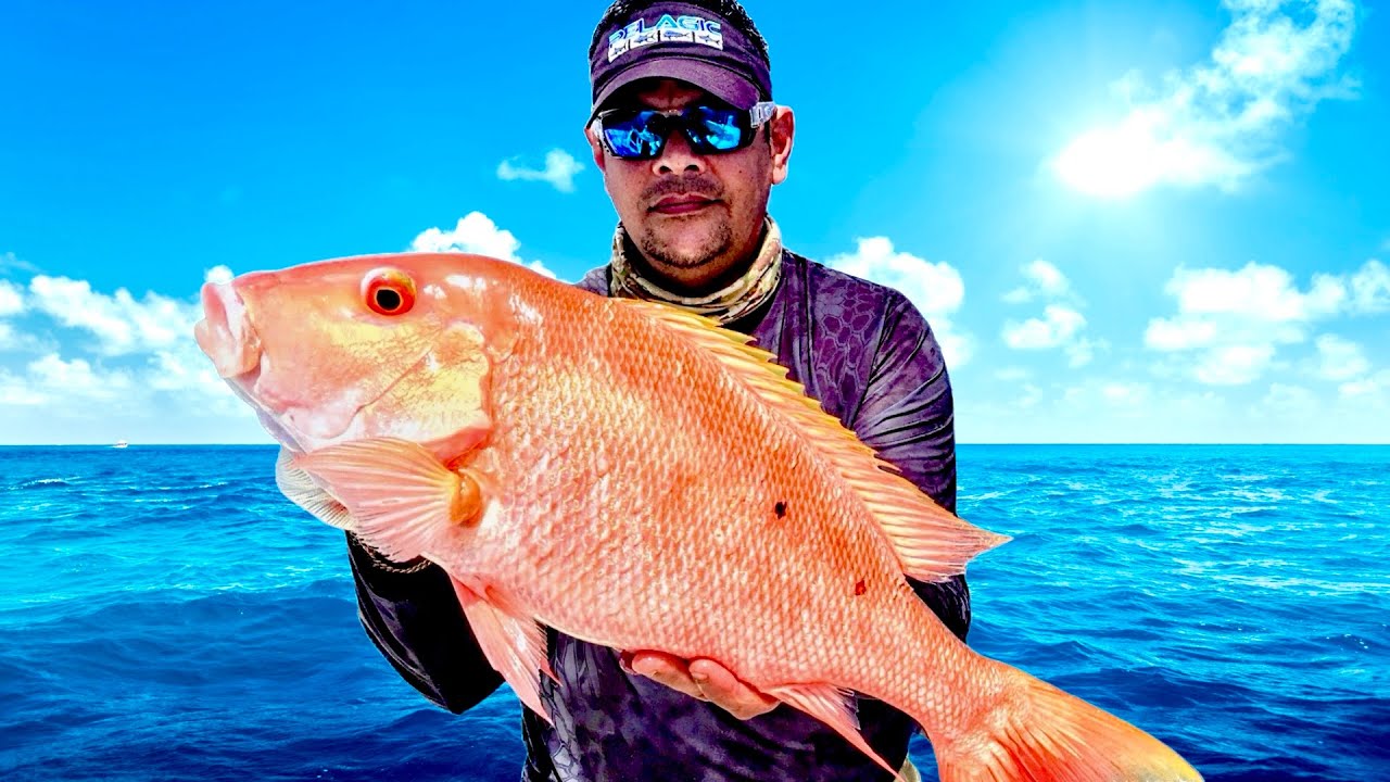 Unlocking Perfection: Safely Preserve Fish Using Ice - YouTube