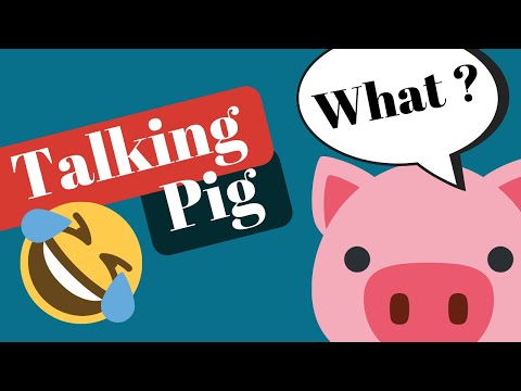 Talking Pig - YouTube