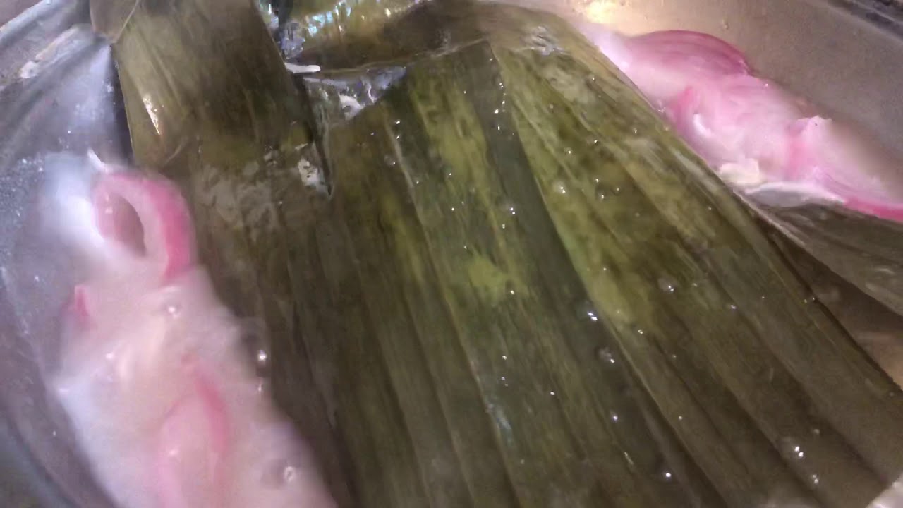 Silver Fish! Inun-unan nga Maranay! - YouTube