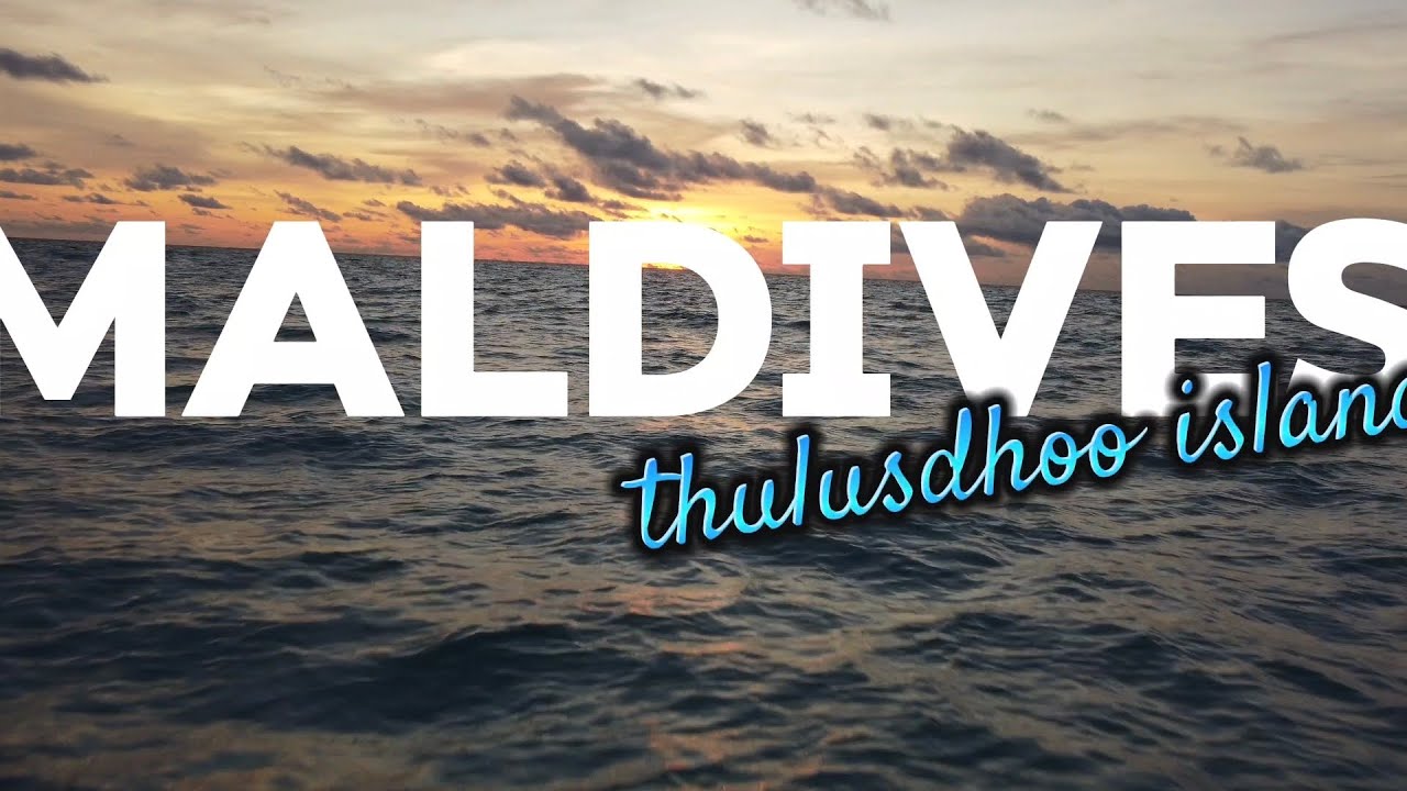 Мальдивы Maldives Thulusdhoo island 2024 Reef Edge - YouTube