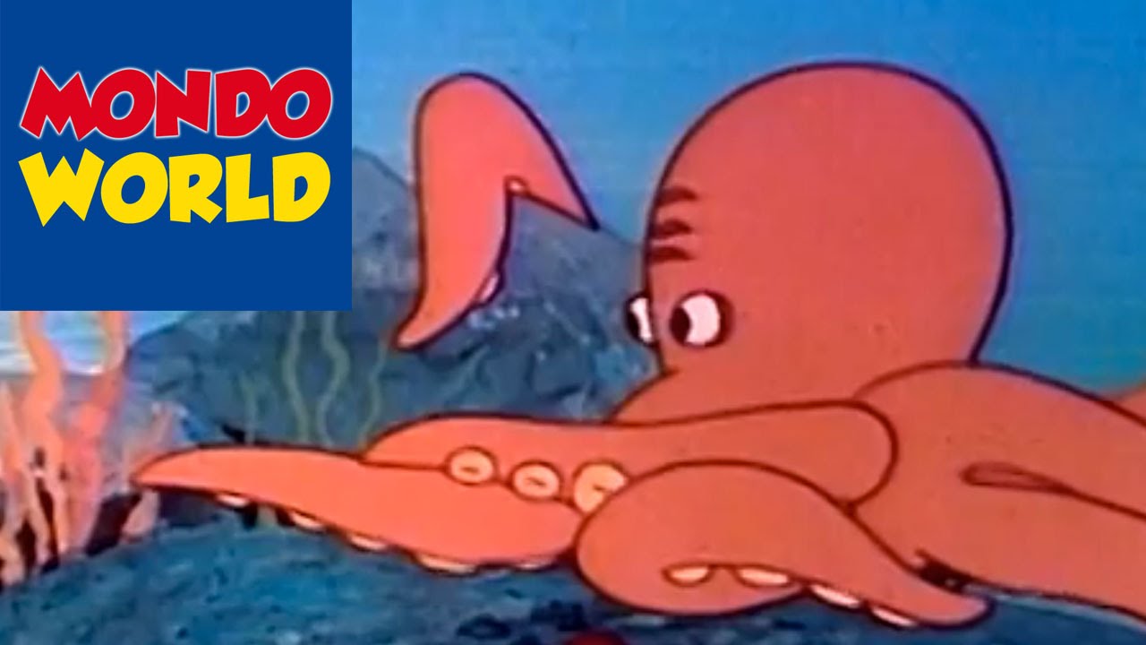 THE OCTOPUS - The Great Book of Nature - EN - YouTube