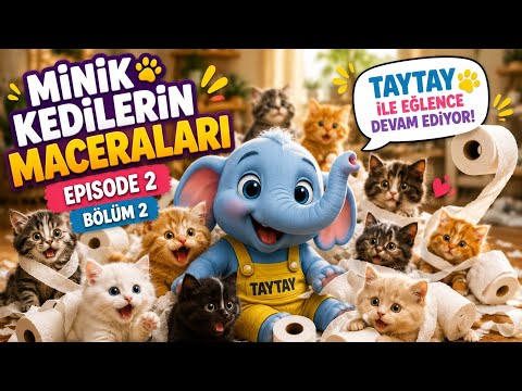 😹 Minik Kedilerin Maceraları 🐱 Episode 2 | Funny Kittens Compilation | Cute Cat Videos | Taytay Kids