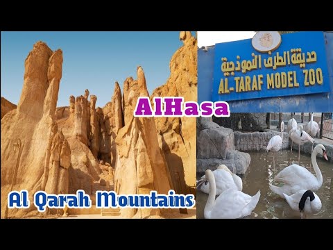 Al Hasa || Jabal Al Qarah Cave Mountains in  Saudi Arabia || Exploring Al Taraf Model Zoo in Al Hasa