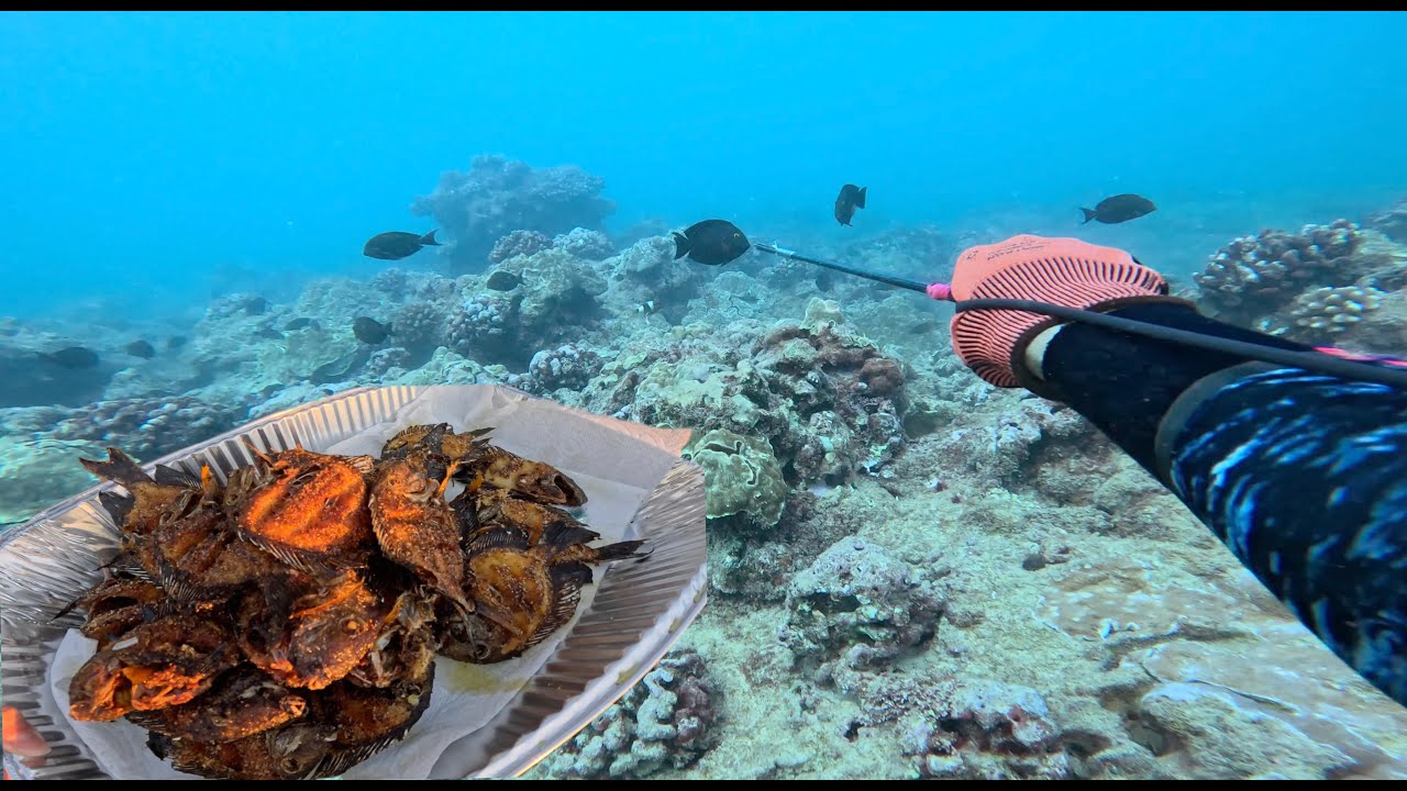 Best Tasting Fish in All of The Landz! Promise to Gawd! / 3 Prong Kole ...