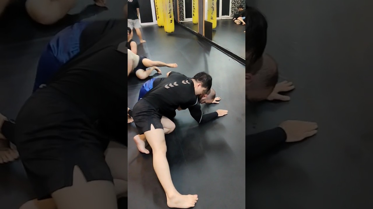 mma back control escape #fight #mma #champion #fighter #sambo # ...