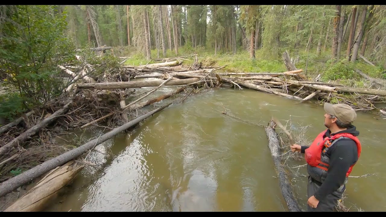 Tunnel Hull Inflatable Jet Boat at Monte Stock blog