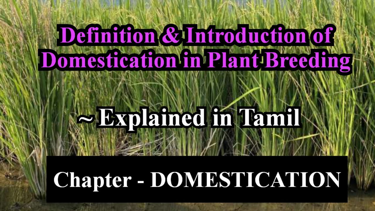 Definition & Introduction of Domestication in Plant breeding ...