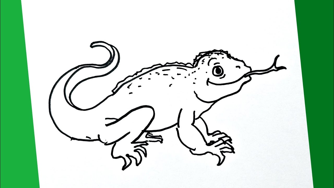 Cara Menggambar Bunglon Mudah - YouTube