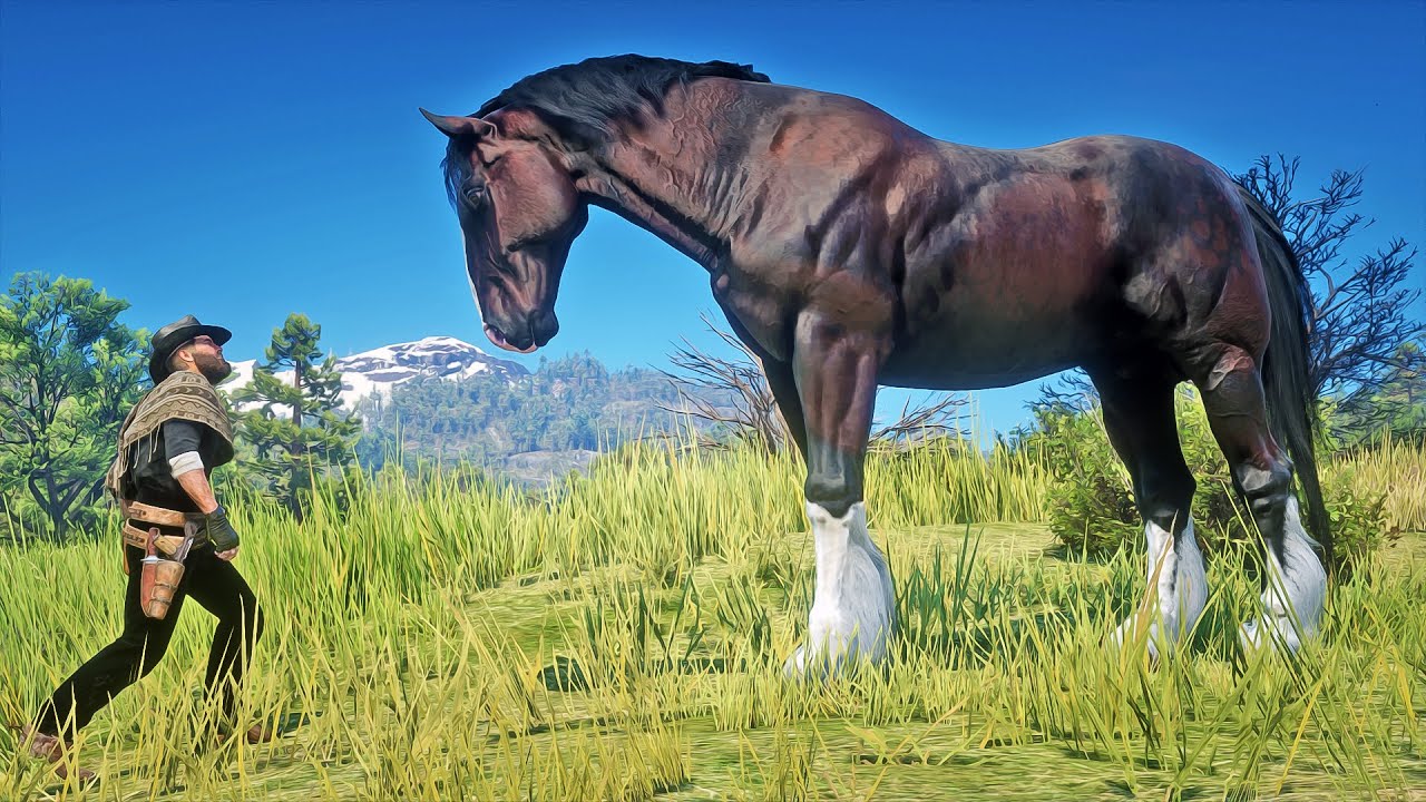 Arthur Morgan found a dark bay Shire horse near Valentine - YouTube