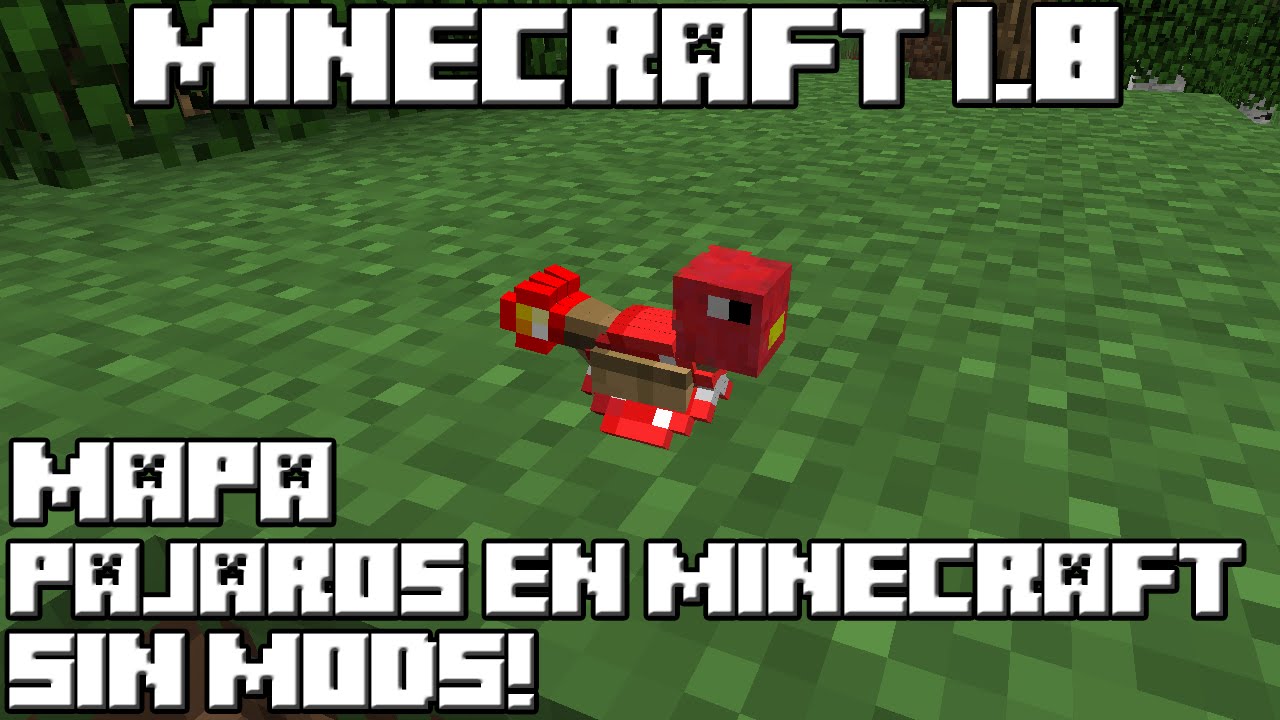 Minecraft 1.8 MAPA PAJAROS EN MINECRAFT SIN MODS! - YouTube