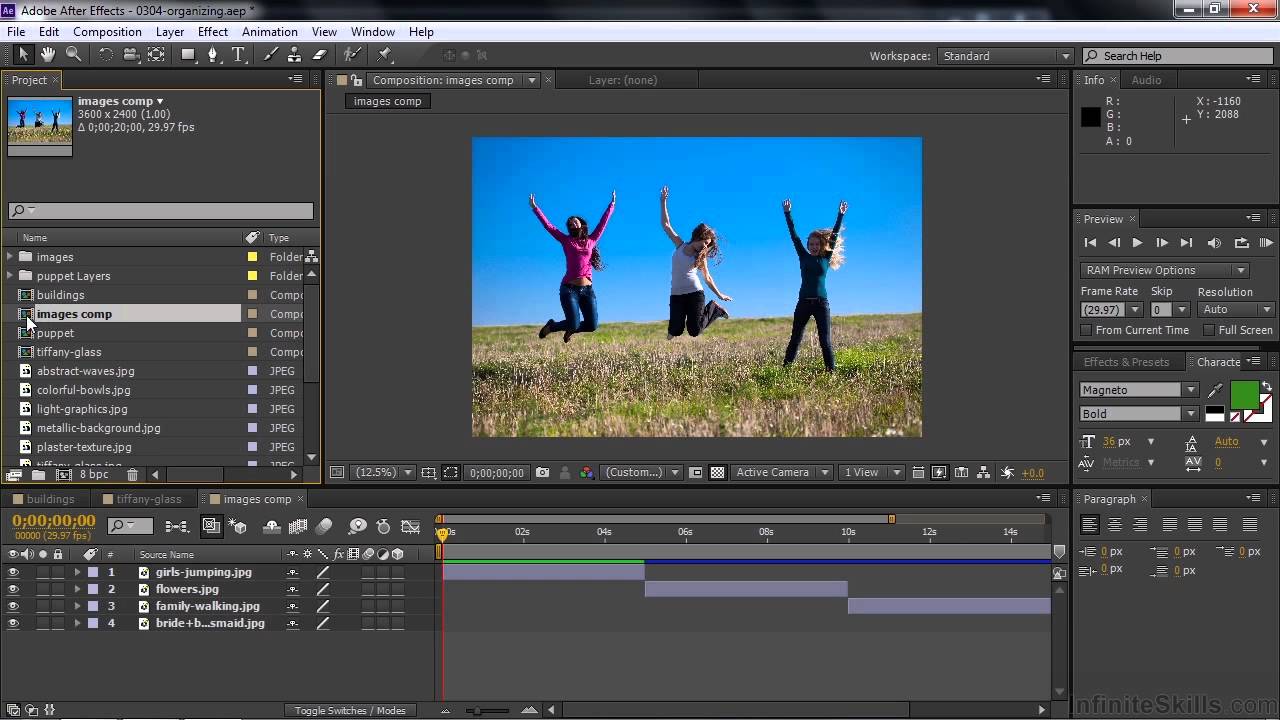 Adobe After Effects CC Tutorial | Organizing Assets In The Project ...