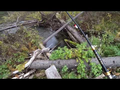 Осенняя РЫБАЛКА на ХАРИУСА/ Первый СНЕГ в ТАЙГЕ / Зачётный КЛЁВ на ...