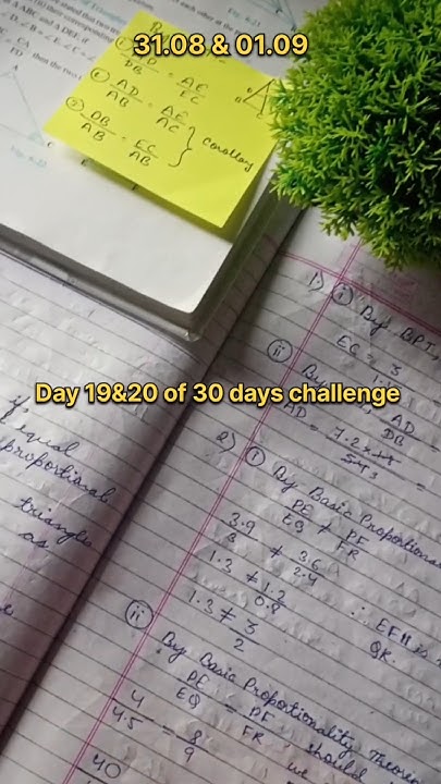 Day 19&20 of 30 days challenge @creativelearning2.0 #30dayschallenge #10thgraderstudyvlog - YouTube