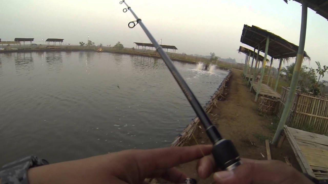 Mustad Fastach X-Rig by Tackle Mart - YouTube