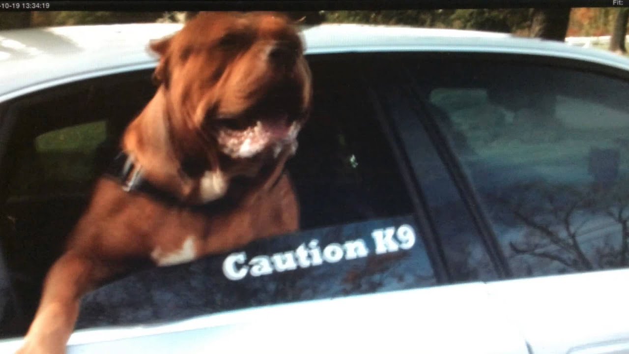 DDK9's & BBG's Presents you The General X Legacy an EPIC event!!! - YouTube