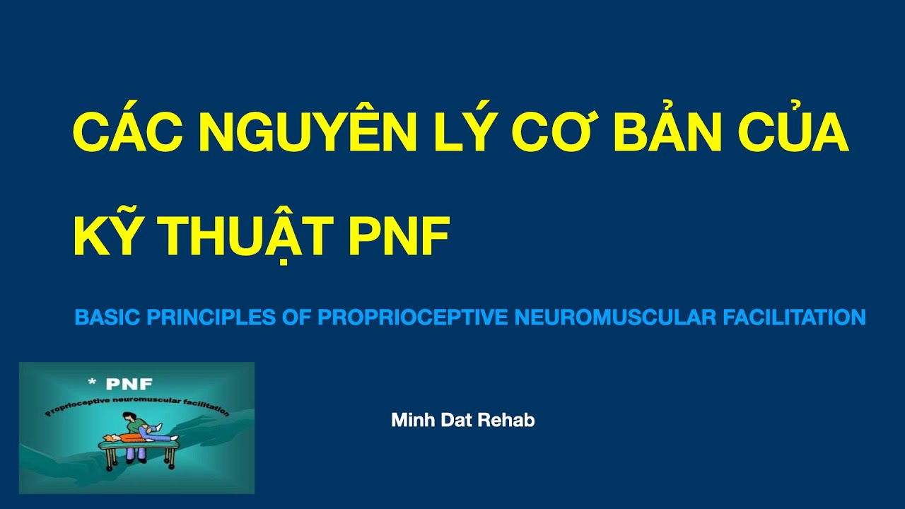 Kỹ thuật PNF: Các Nguyên lý cơ bản (Principles of PNF) - YouTube