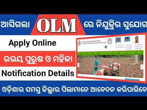OLM Job Recruiment Online Apply ll Odisha Job update 2020 ll Odisha ...