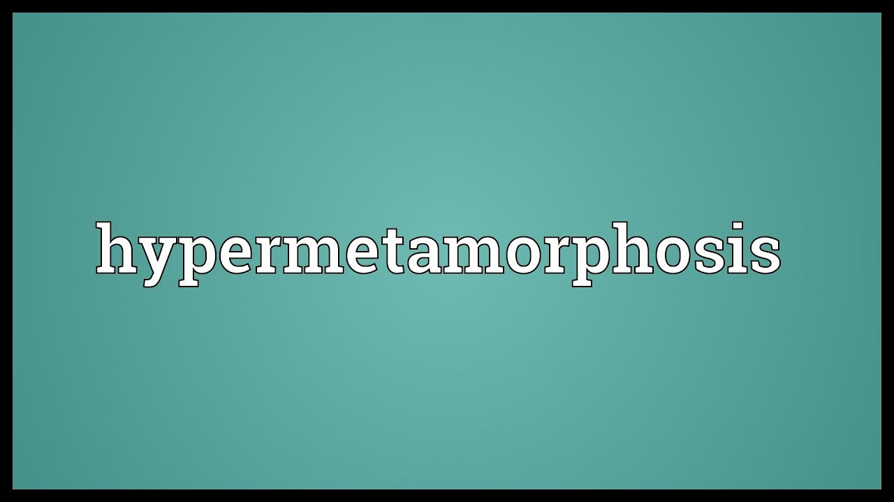Hypermetamorphosis Meaning - YouTube