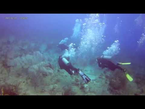 Scuba Diving in the BVI Cistern Point Part 1. (Peace Out) - YouTube