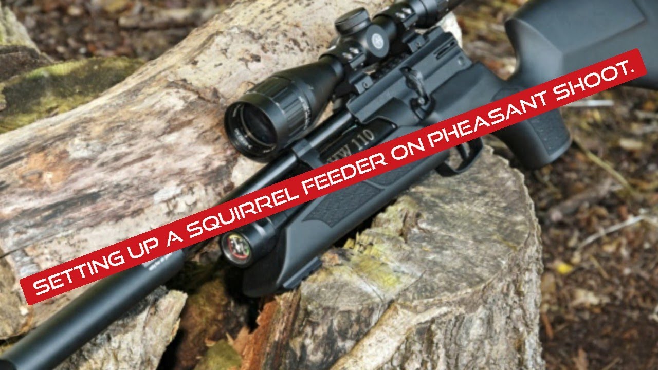 Squirrel feeder setup. - YouTube