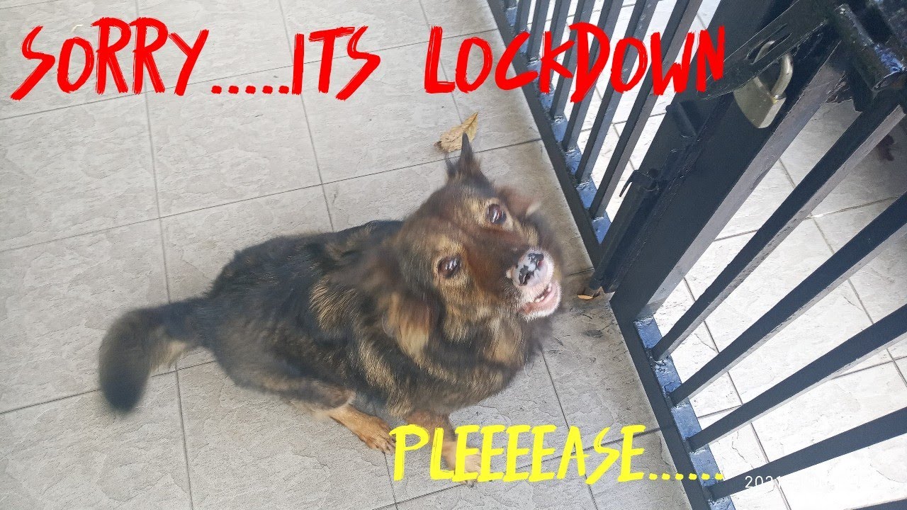 PLEEEEEASE.....Can i go out? - YouTube