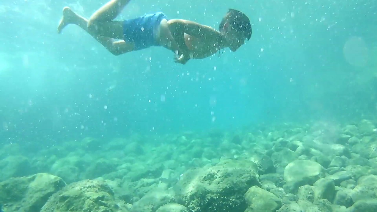 Sea Life @Flores Island (Azores) - YouTube
