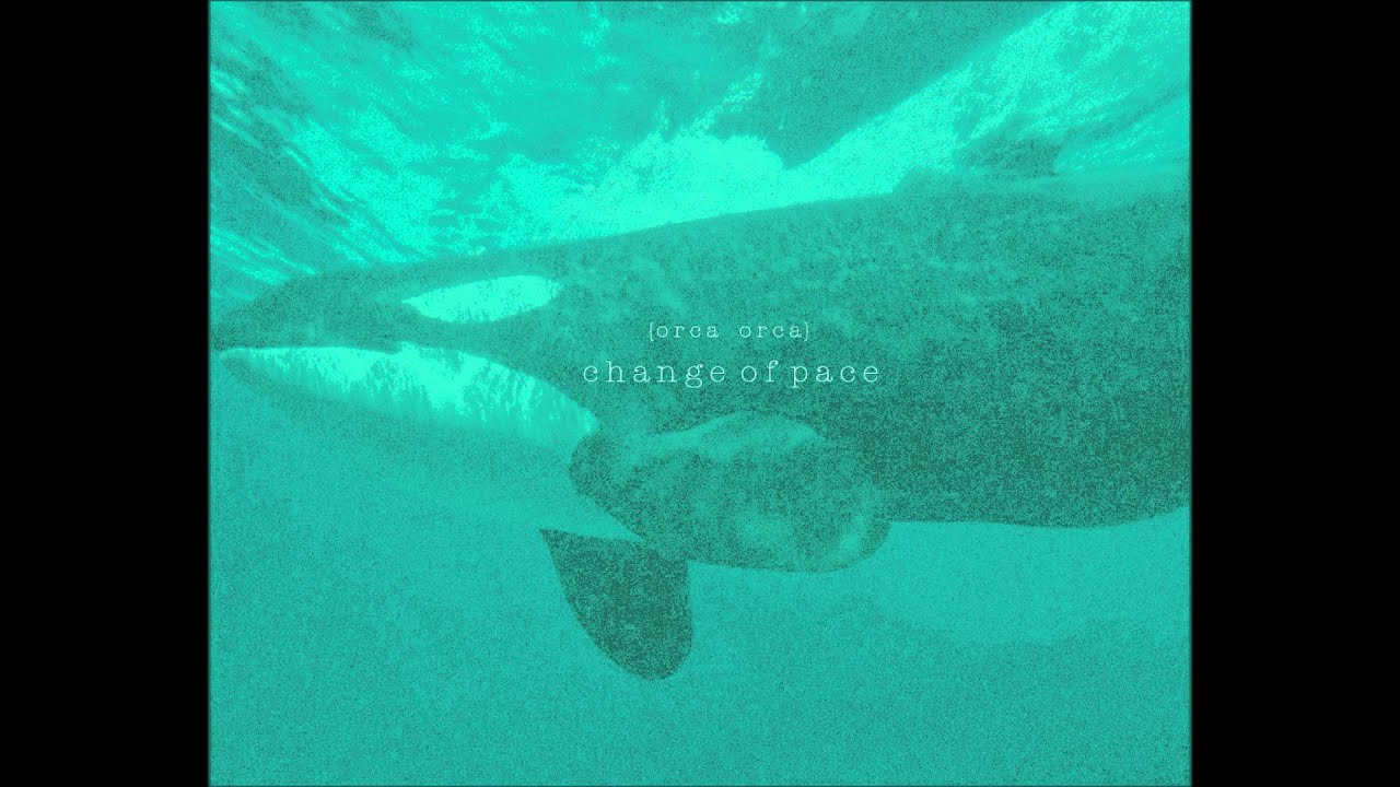Orca Orca - Change Of Pace - YouTube