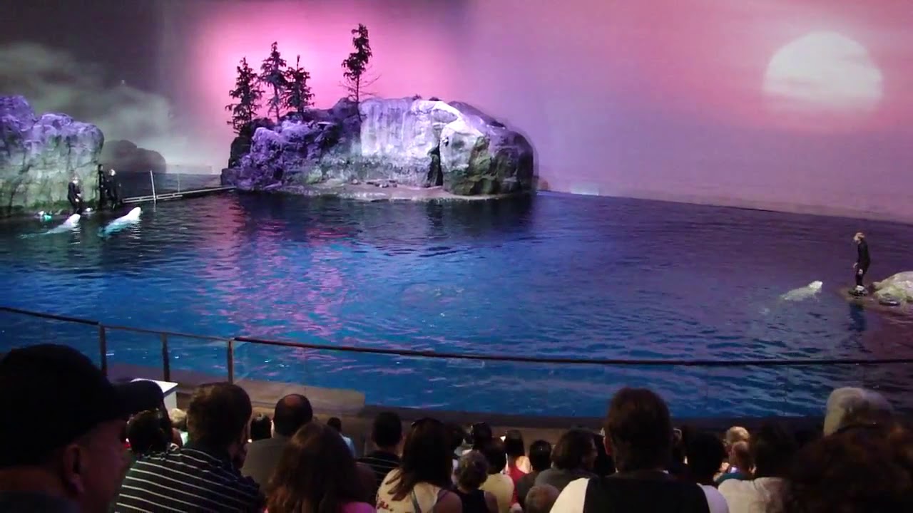 August Travel Vlogs - Day 4 - Aquarium One World Show part 5 (Reupload ...