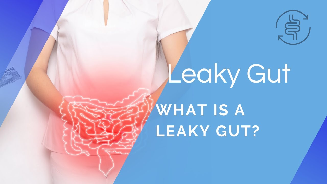 What is a leaky gut? | Leaky Gut Syndrome – the damaged intestinal ...