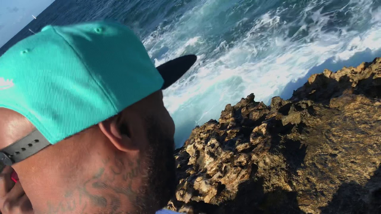 Gully Tv’s first National Geographic episode On A Reef in the ocean ...